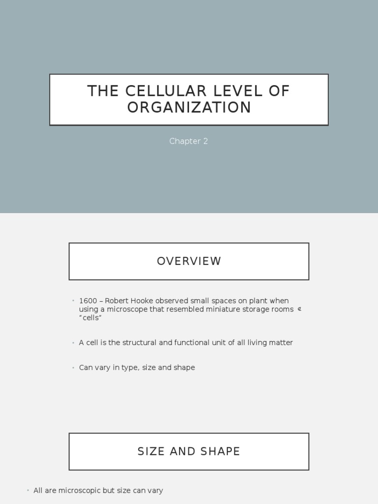 Student Chapter 3 - The Cellular Level of Organization - Tagged | PDF ...