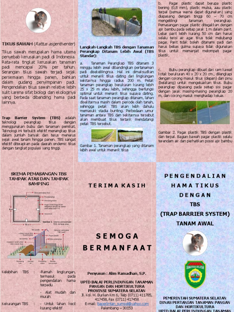 LEAFLET 7 Pengendalian Hama Tikus Dengan TBS | PDF