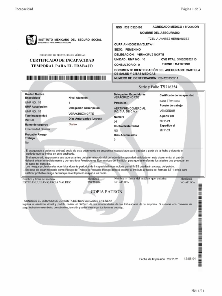 Incapacidad Temporal IMSS: Formato y Detalles | PDF