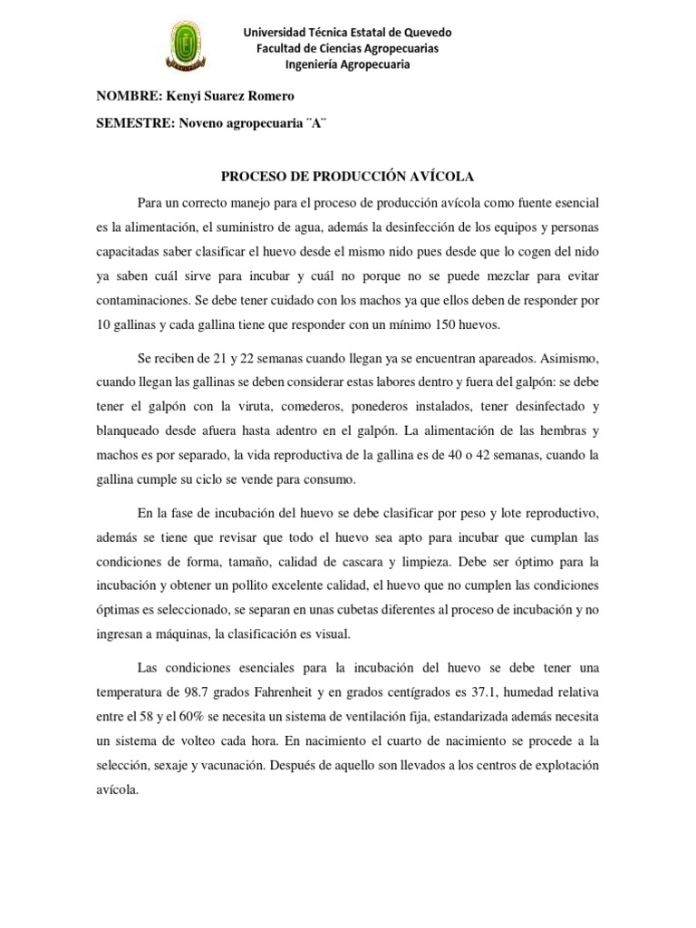 Proceso de Producción Avícola | PDF | Pollo | Aves