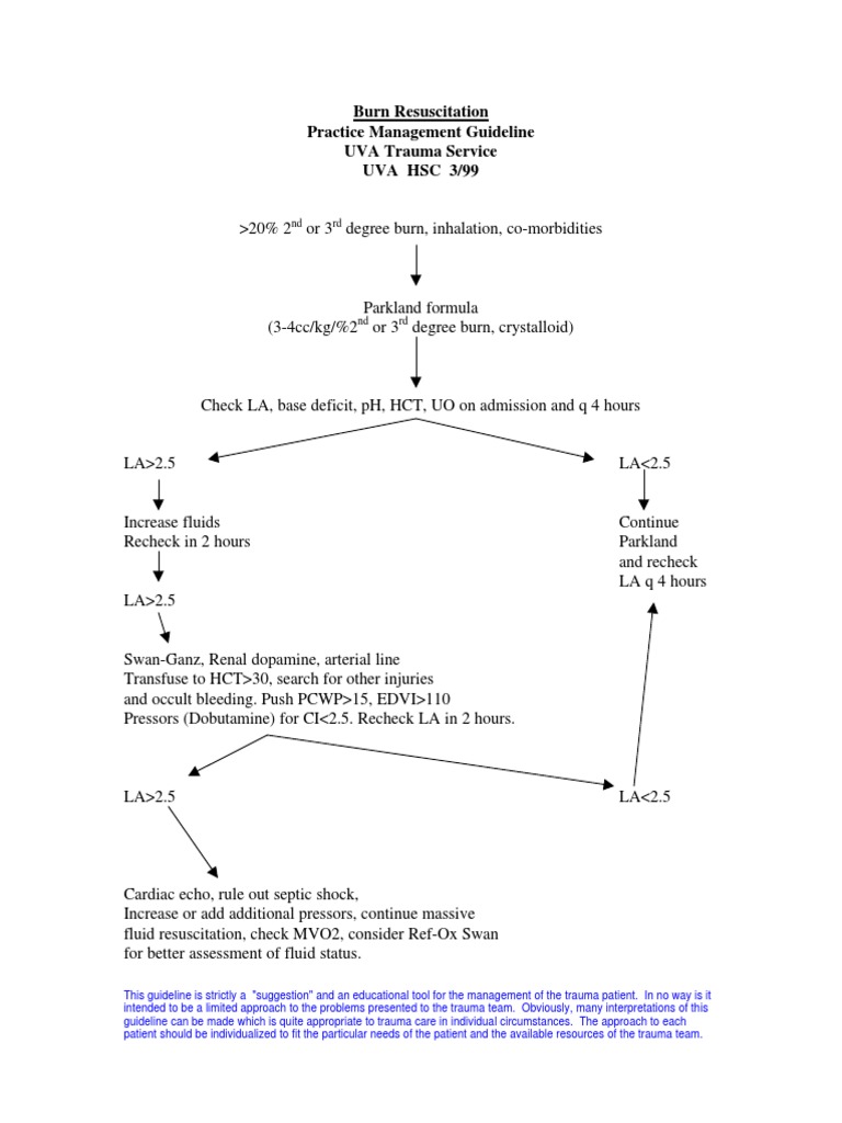 Burn Resuscitation Practice Management Guideline UVA Trauma Service Uva ...