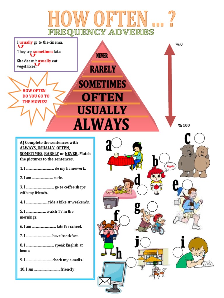 Frequency Adverbs - Activity | PDF | Linguistics