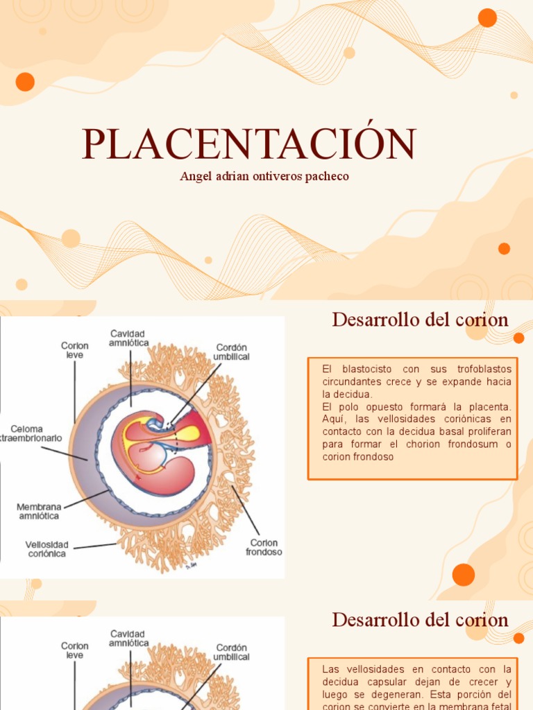 Placentacion - Obstetricia - Angel Adrian Ontiveros | PDF