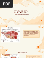 Placentacion - Obstetricia - Angel Adrian Ontiveros | PDF