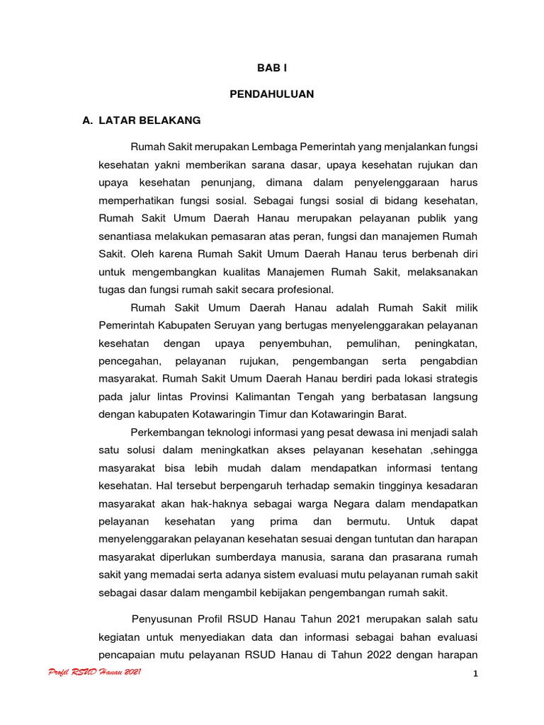 RSUD Hanau Profil 2021 | PDF