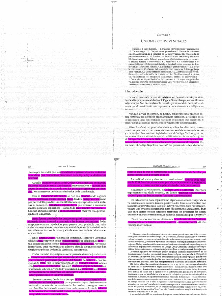 Libro Solari. CAP v. Uniones Convivenciales | PDF | Matrimonio | Homosexualidad