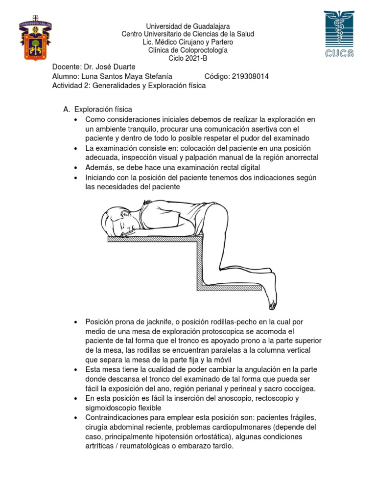 Exploración Física Anorrectal en Mujeres | PDF | Hemorroides ...