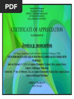 Cert of Recognition (Speaker INSET) | PDF