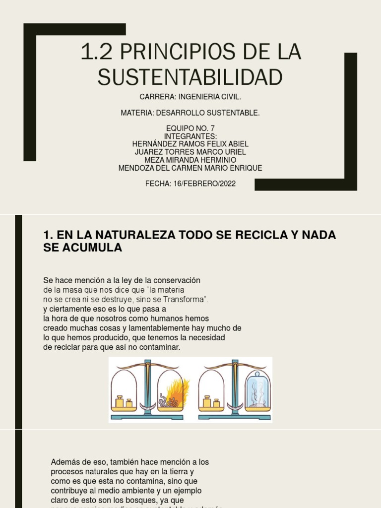 1.2 Principios de La Sustentabilidad | PDF | Ecología | Ecosistema