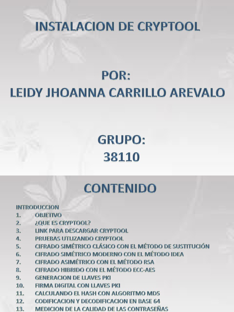 Manual Cryptool | PDF | Clave (criptografía) | Criptografía de clave pública
