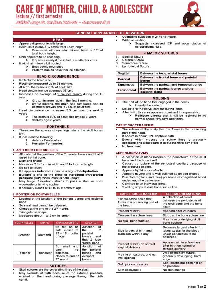 Anatomy and Characteristics of the Newborn Head: A Comprehensive Guide ...