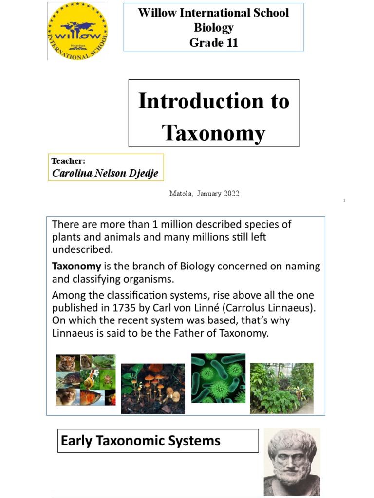Lesson-Introduction To Taxonomy | PDF