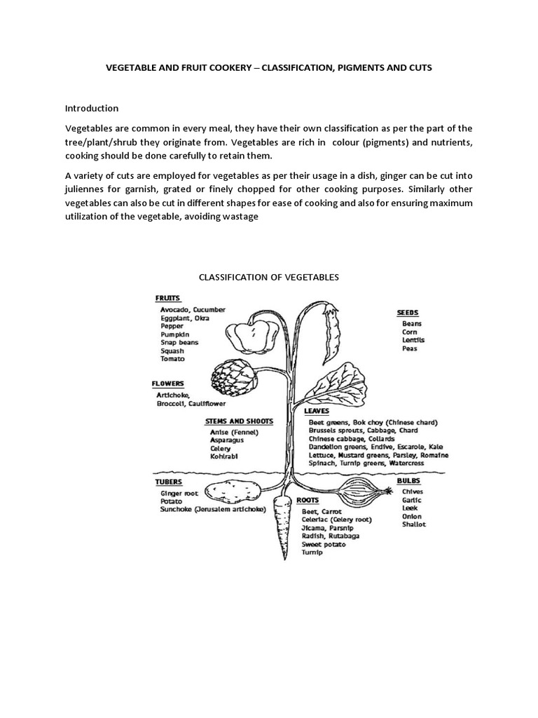 Vegetable and Fruit Classification Guide | PDF | Vegetables | Fruit