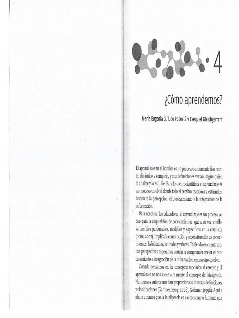 El Cerebro Que Aprende Cap 4 Pdf