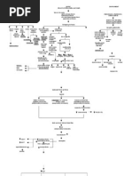 Somera Case, Philippines, May 1929 | PDF | Criminal Law | Crime & Violence