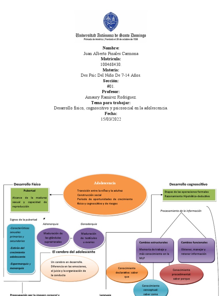 Desarrollo Físico, Cognoscitivo y Psicosocial en La Adolescencia. | PDF | Adolescencia | Adultos