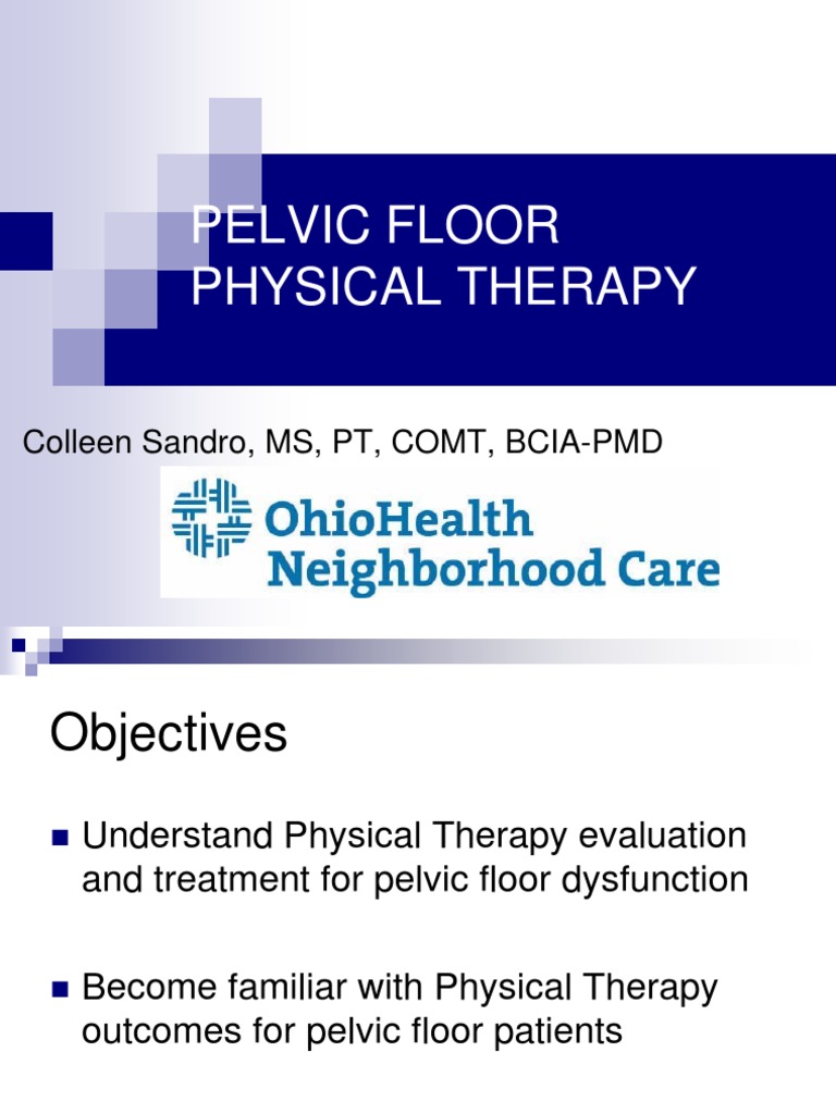 Pelvic Floor Physical Therapy (PDFDrive) | PDF | Urinary Incontinence ...