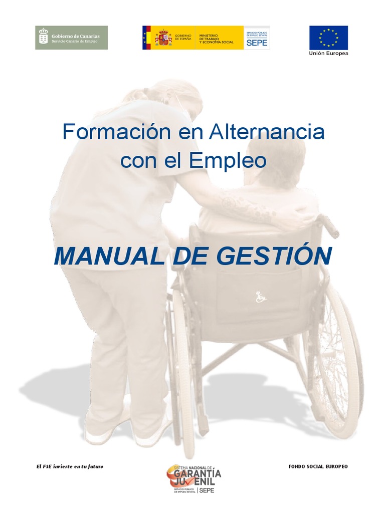 Manual Gestion Pfae y Pfae-Gj 2021 | PDF | Evaluación | Aprendizaje