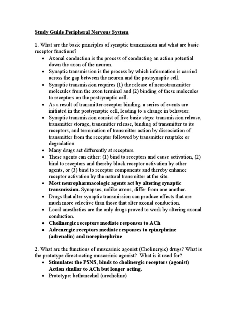Study Guide PNS and CNS | PDF | Synapse | Acetylcholine