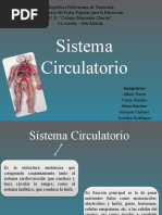 Sistema Circulatorio Power Point