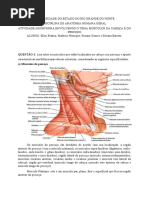 Músculos da Cabeça e Pescoço: Funções e Anatomia | PDF | Músculo ...