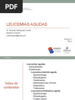 Clase 2 Clasificacion Fab | PDF | Leucemia | Enfermedades y trastornos