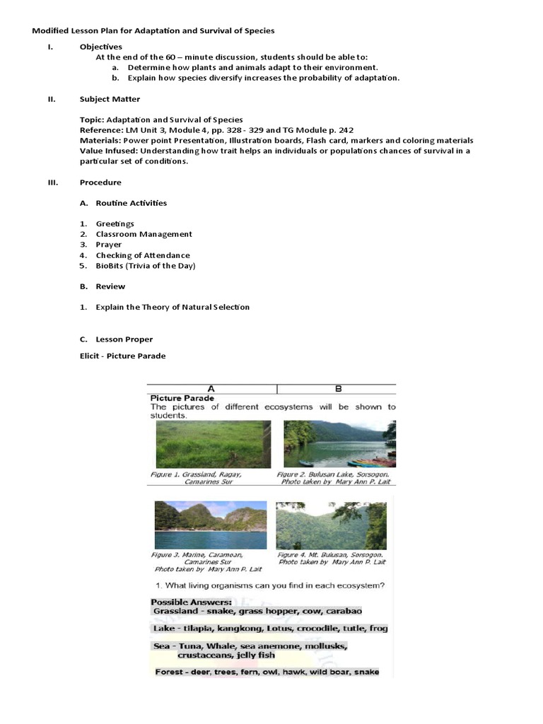 Modified Lesson Plan For Adaptation and Survival of Species | PDF