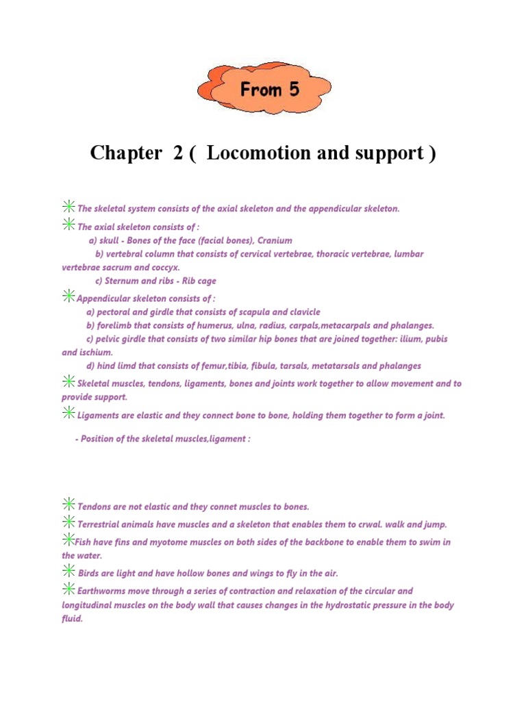 Locomotion and Support in Biology | PDF | Skeleton | Tissue (Biology)