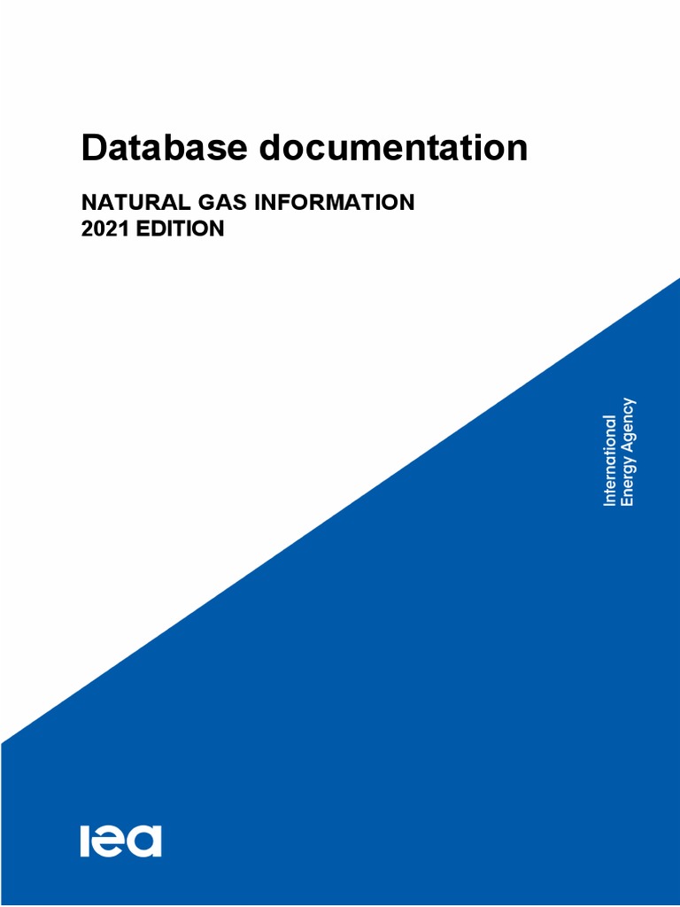 Database Documentation: Natural Gas Information 2021 EDITION | PDF ...
