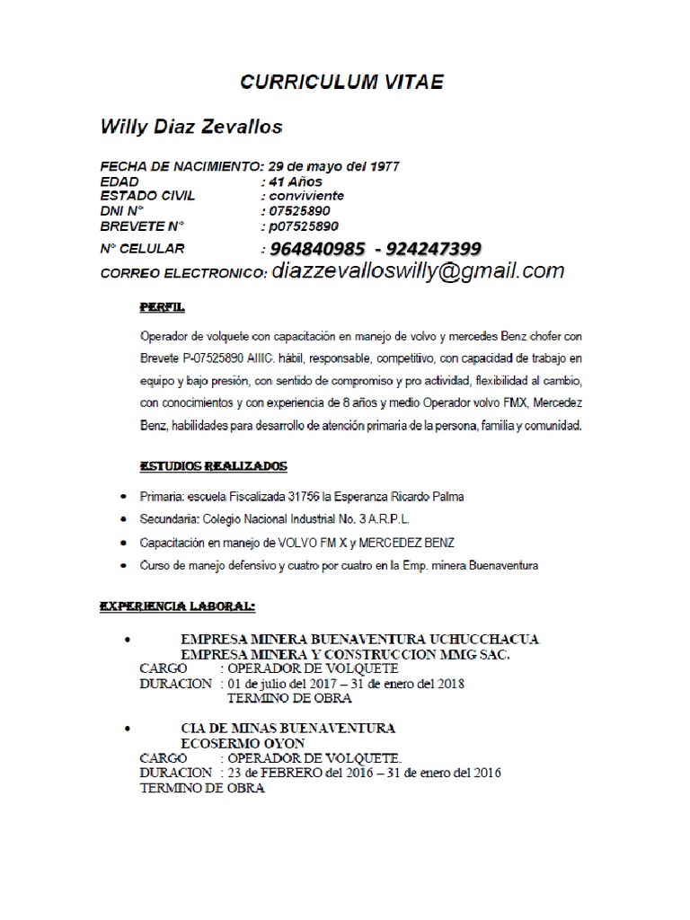CV WILLY (2) (1) - Organized | PDF