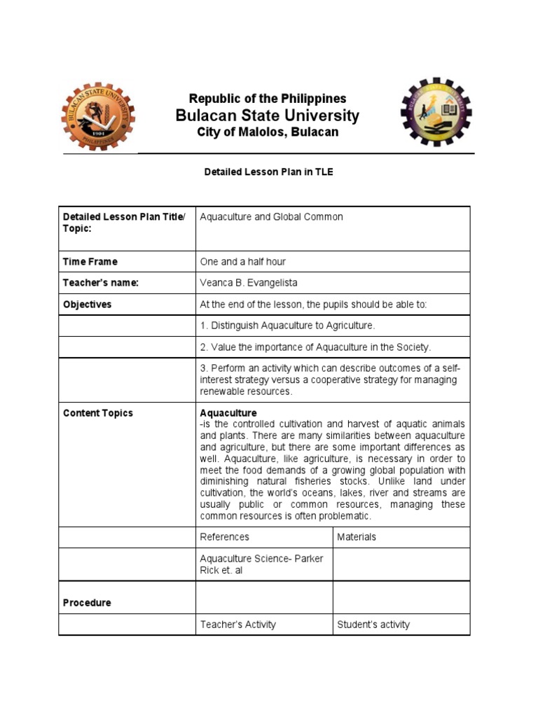 Template For Project Based Lesson Plan in TLE | PDF | Lesson Plan ...
