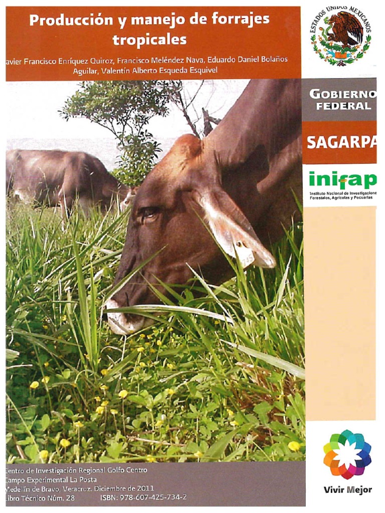 Produccion Forrajes | PDF | Fertilizante | Siembra