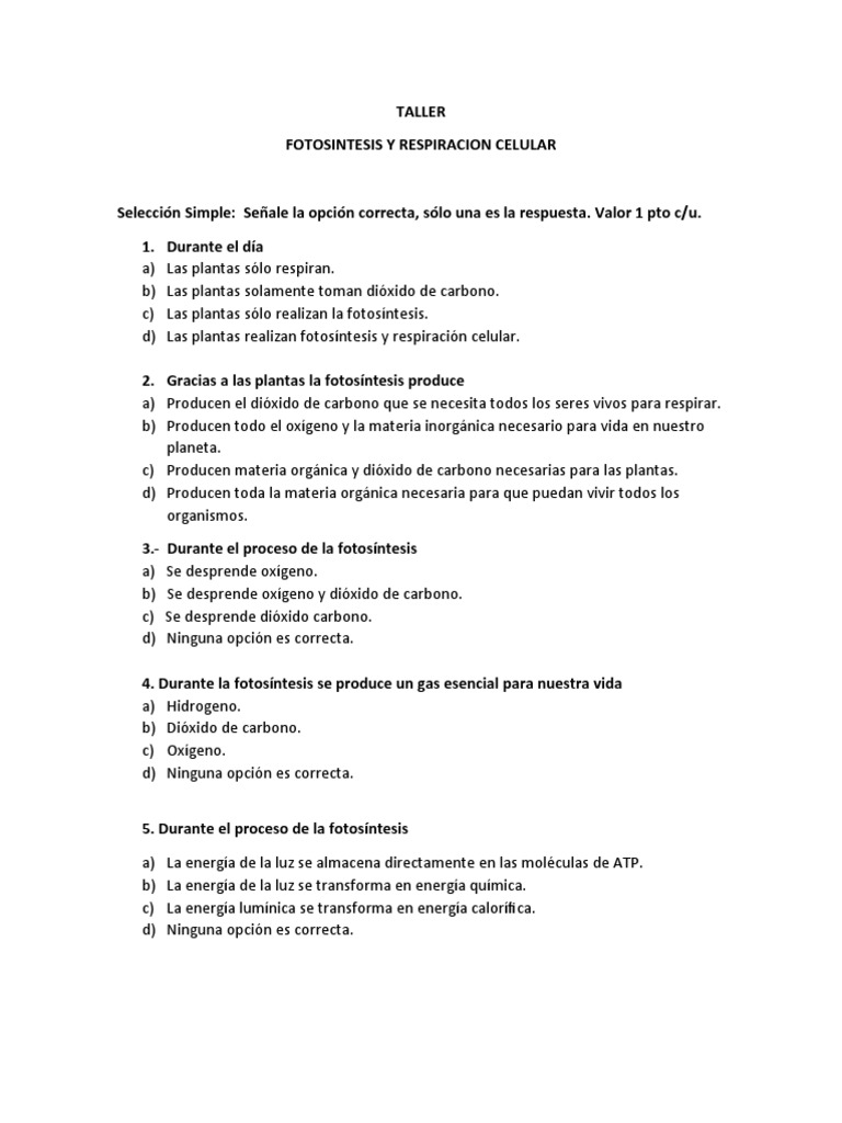 Taller de Fotosintesis y Respiración Celular 3er Año | PDF ...