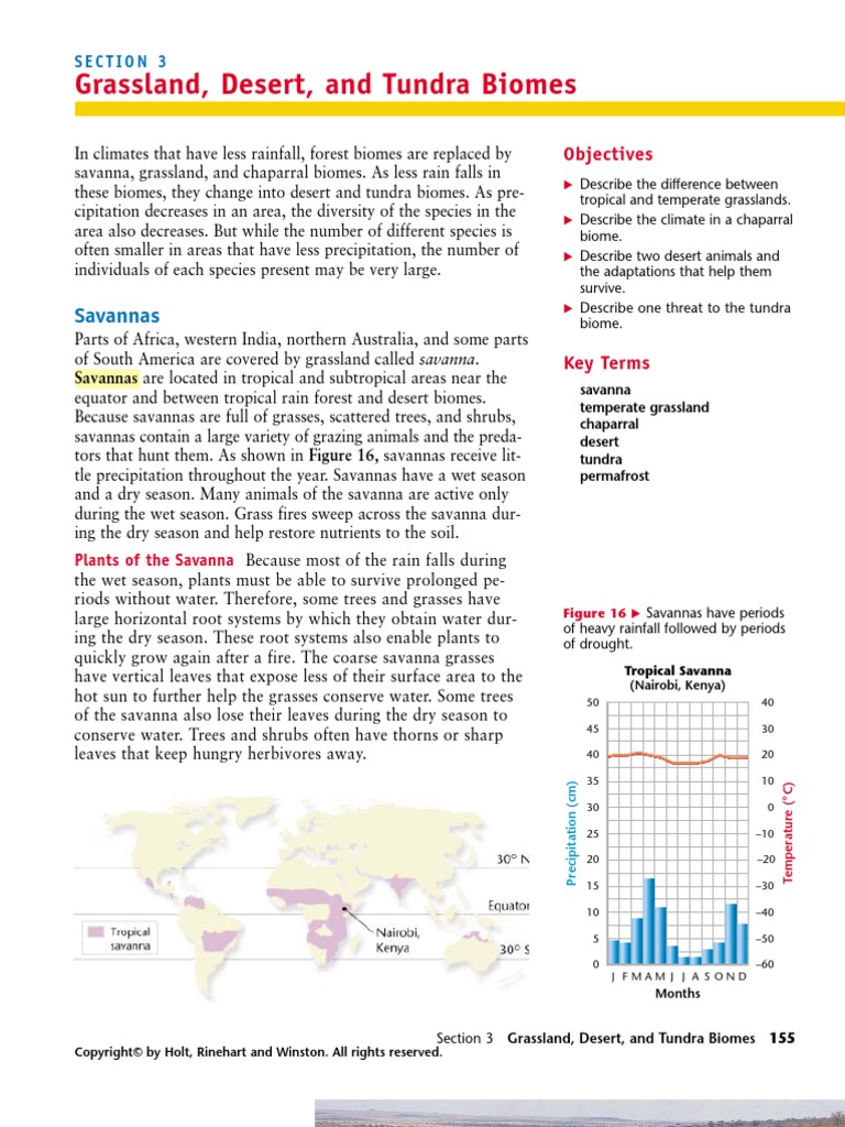 Grassland, Desert, and Tundra Biomes | PDF | Grassland | Savanna
