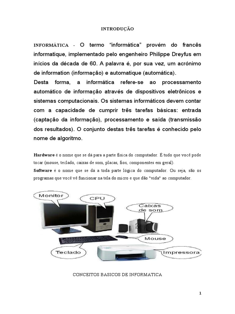 Introdução à Informática Básica | PDF | Armazenamento de dados de ...