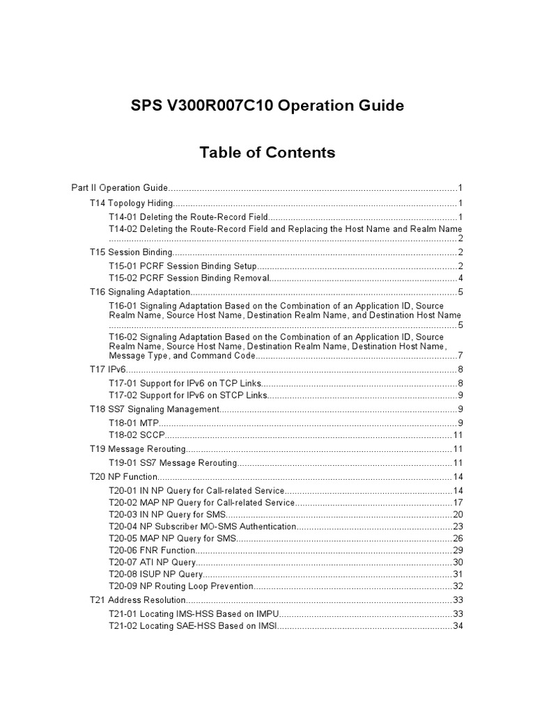 SPS V300R007C10 Part II Operation Guide (Special) | PDF | I Pv6 | Ip ...
