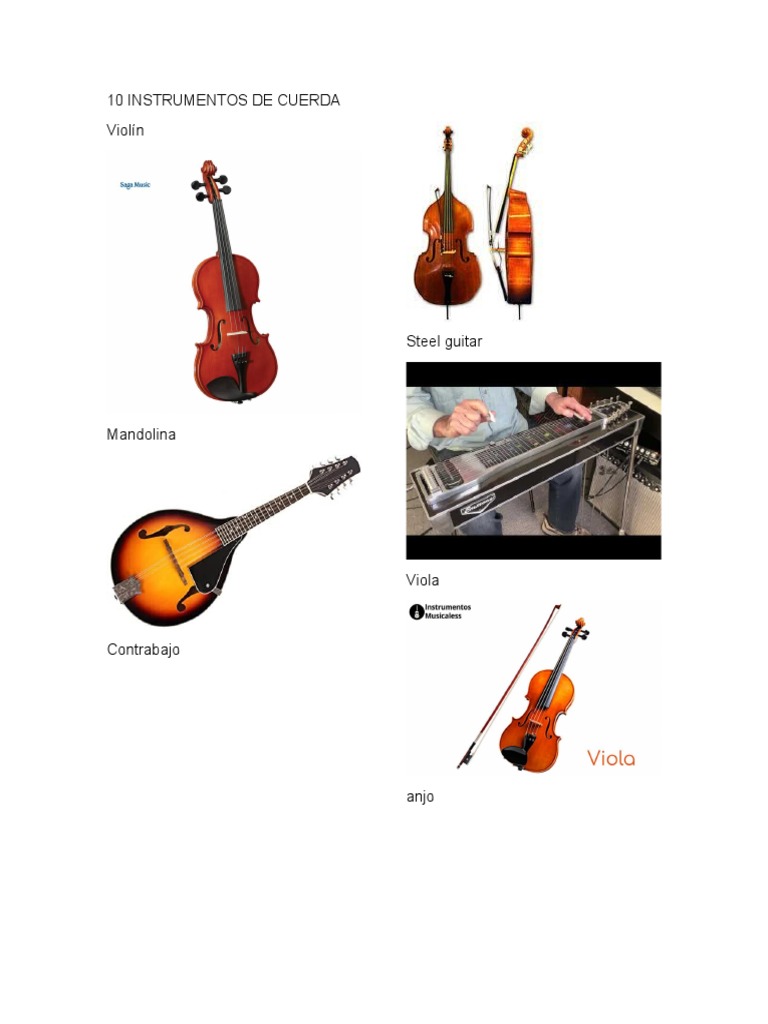 10 Instrumentos de Cuerda en Música | PDF | Instrumentos musicales