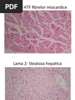 Coduri Concediu Medical | PDF