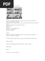 GUIA N°2 Ejercicios de Burger All | PDF | Trombo | Sistema circulatorio