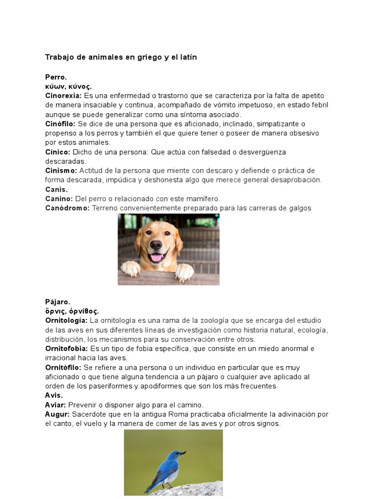 Trabajo de Animales en Griego y El Latín | PDF | Serpiente | Pescado