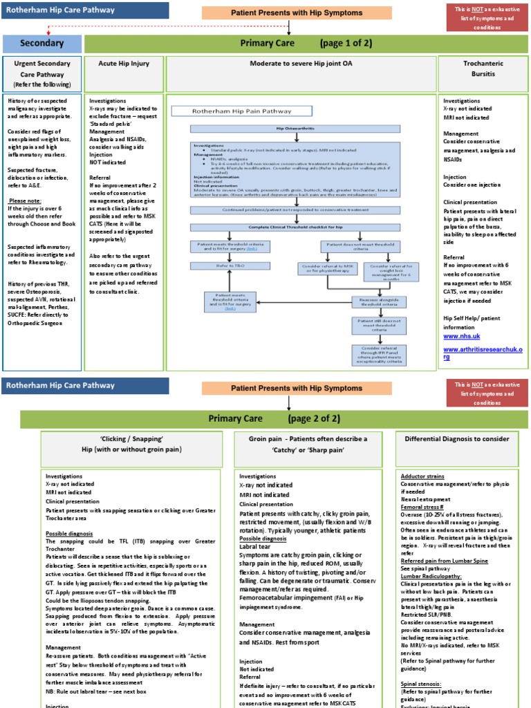 Hip Pathway With Clinial Thresold and Process | PDF | Hip | Pain