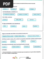 Actividades 5 Taxonomía de Los Seres Vivos | PDF