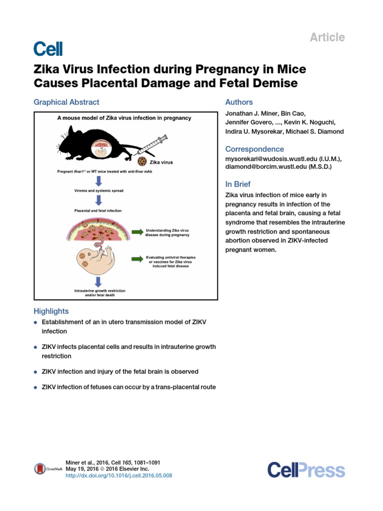 7-Zika Modelo Animal | PDF | Zika Virus | Placenta