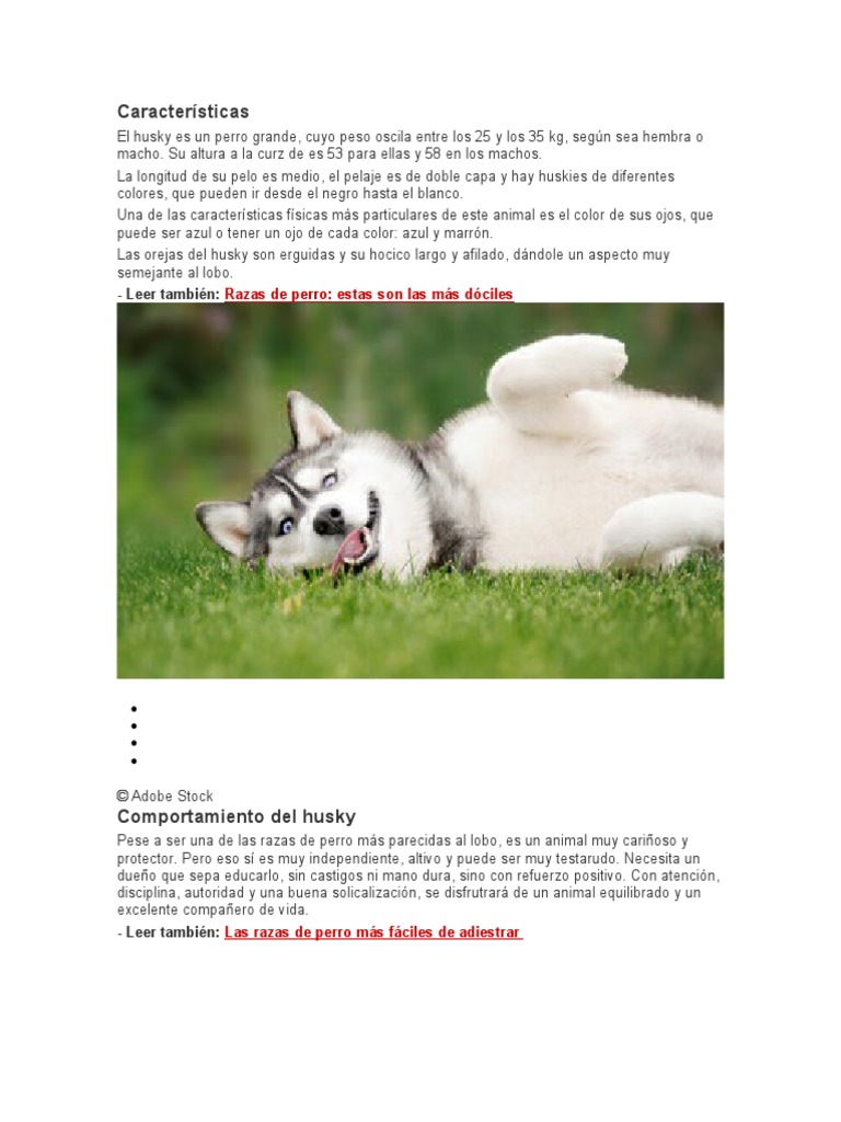 Características | PDF | Perros como mascotas | Animales domesticados