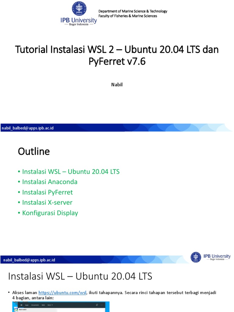 Pyferret On WSL Ubuntu | PDF