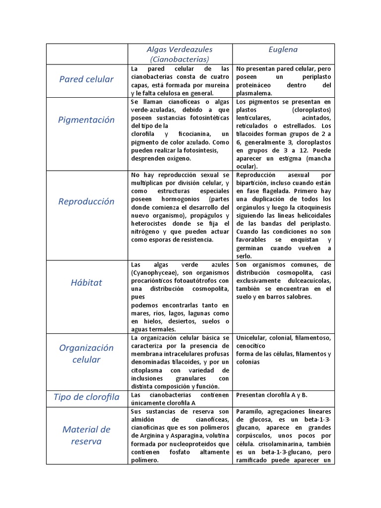 Algas Verdeazules y Euglena | PDF | Cianobacterias | Algas