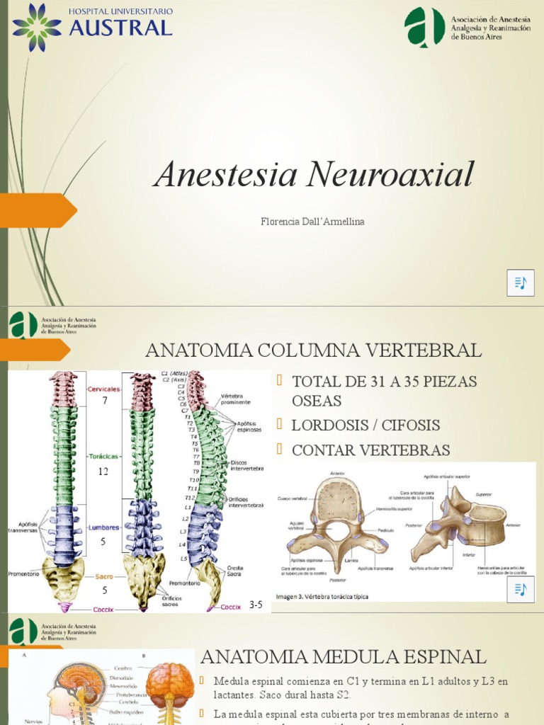 Tipos y Posición en Anestesia Raquidea | PDF | Medicina CLINICA ...