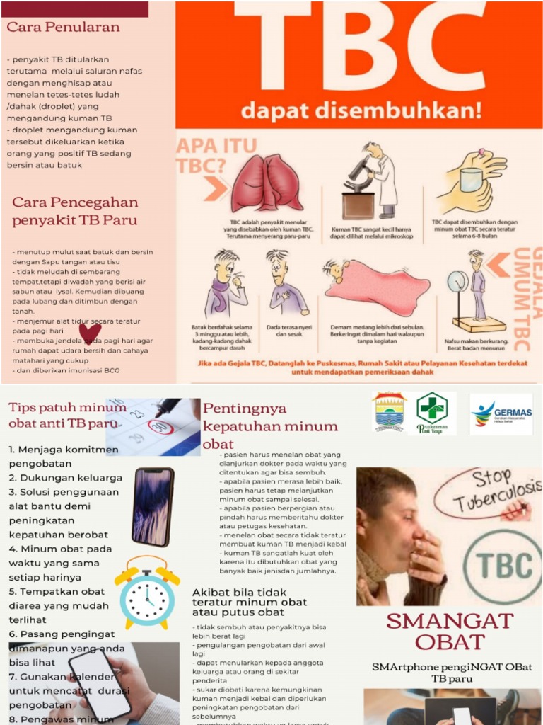 Leaflet TB | PDF