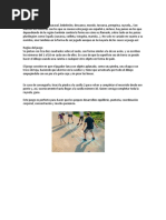 Instrucciones del juego Atrapadas | PDF