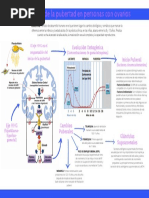 Escala de Zulewski para Hipotiroidismo | PDF | Hipotiroidismo | Hormona ...